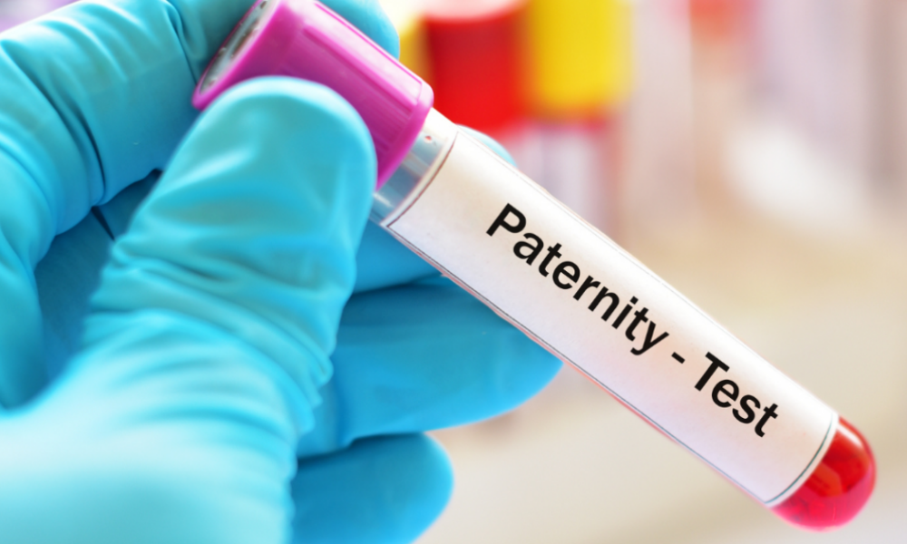 The Reality Behind Paternity Testing: 10 Most Common Myths Debunked ...