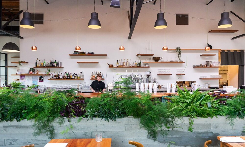 Four Major Steps to Save a Failing Restaurant in Edmonton - Vdio ...